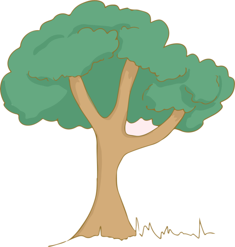 อันดับหนึ่ง 97+ ภาพพื้นหลัง โครงสร้าง ต้นไม้ Tree Structure ครบถ้วน